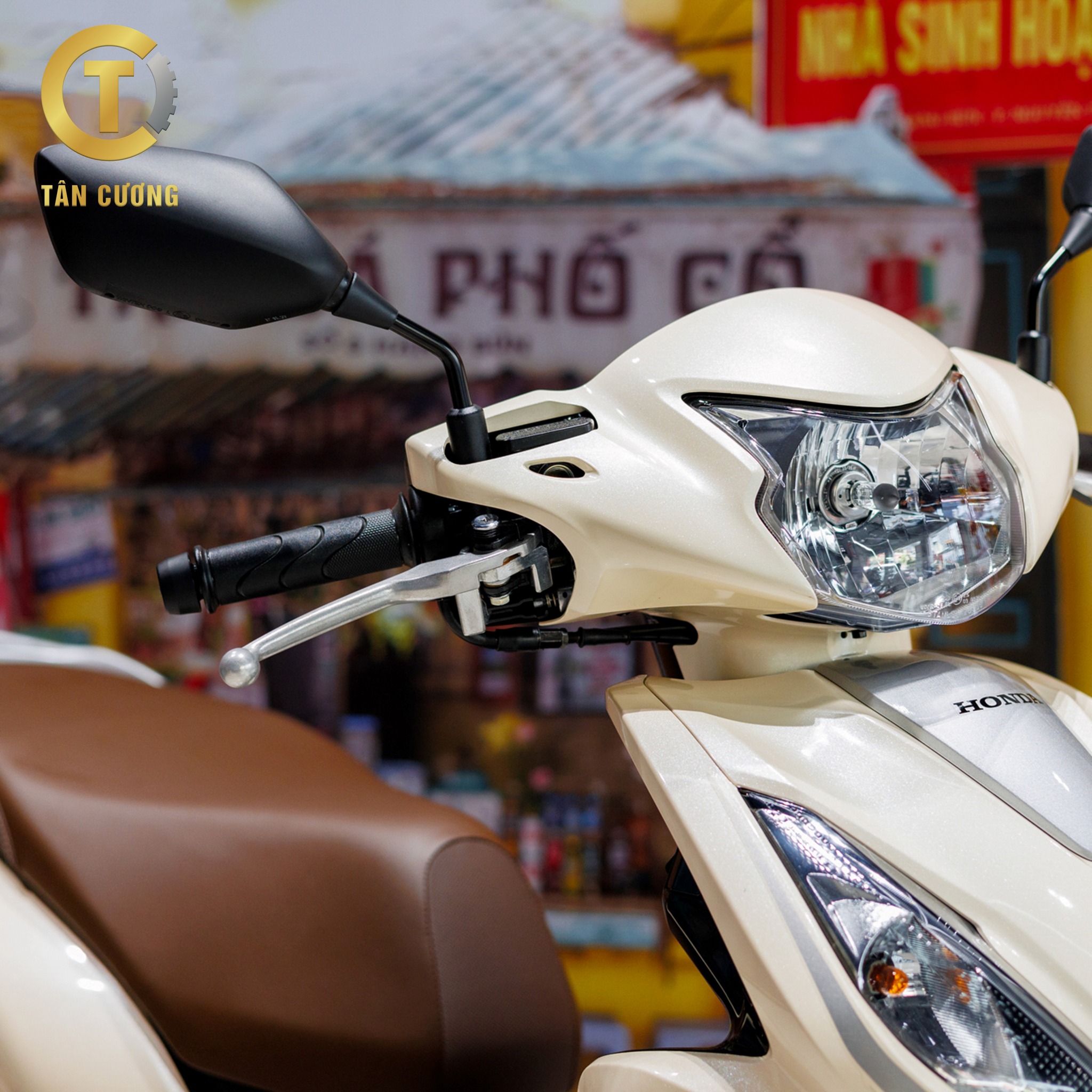 Vision Cổ điển - Điểm nhấn du xuân Tết Giáp Thìn - HỆ THỐNG HEAD TÂN CƯƠNG